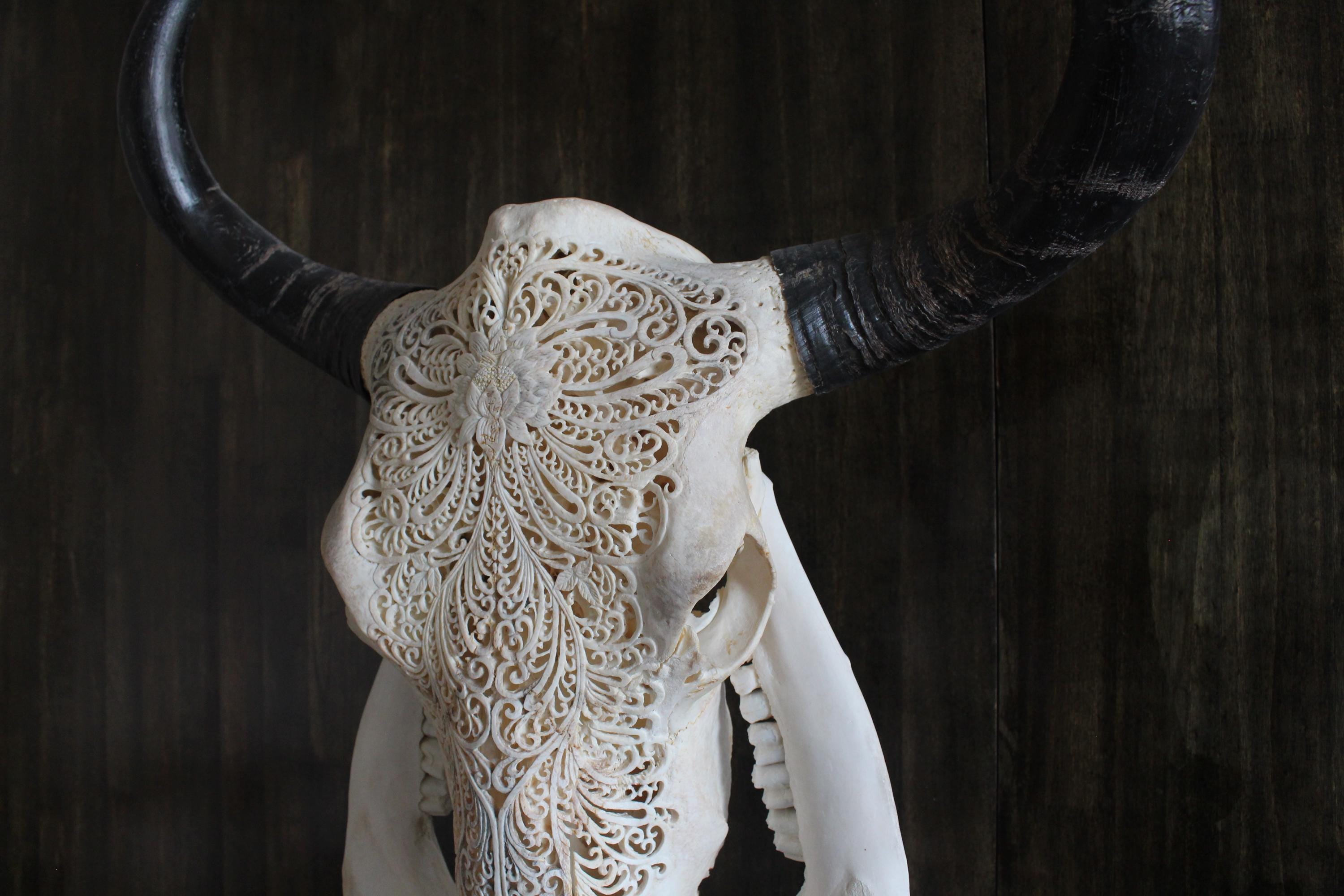 Hand Carved Bull Skull With Horns Cow Skull Perfectly Clean, Real Bone ...