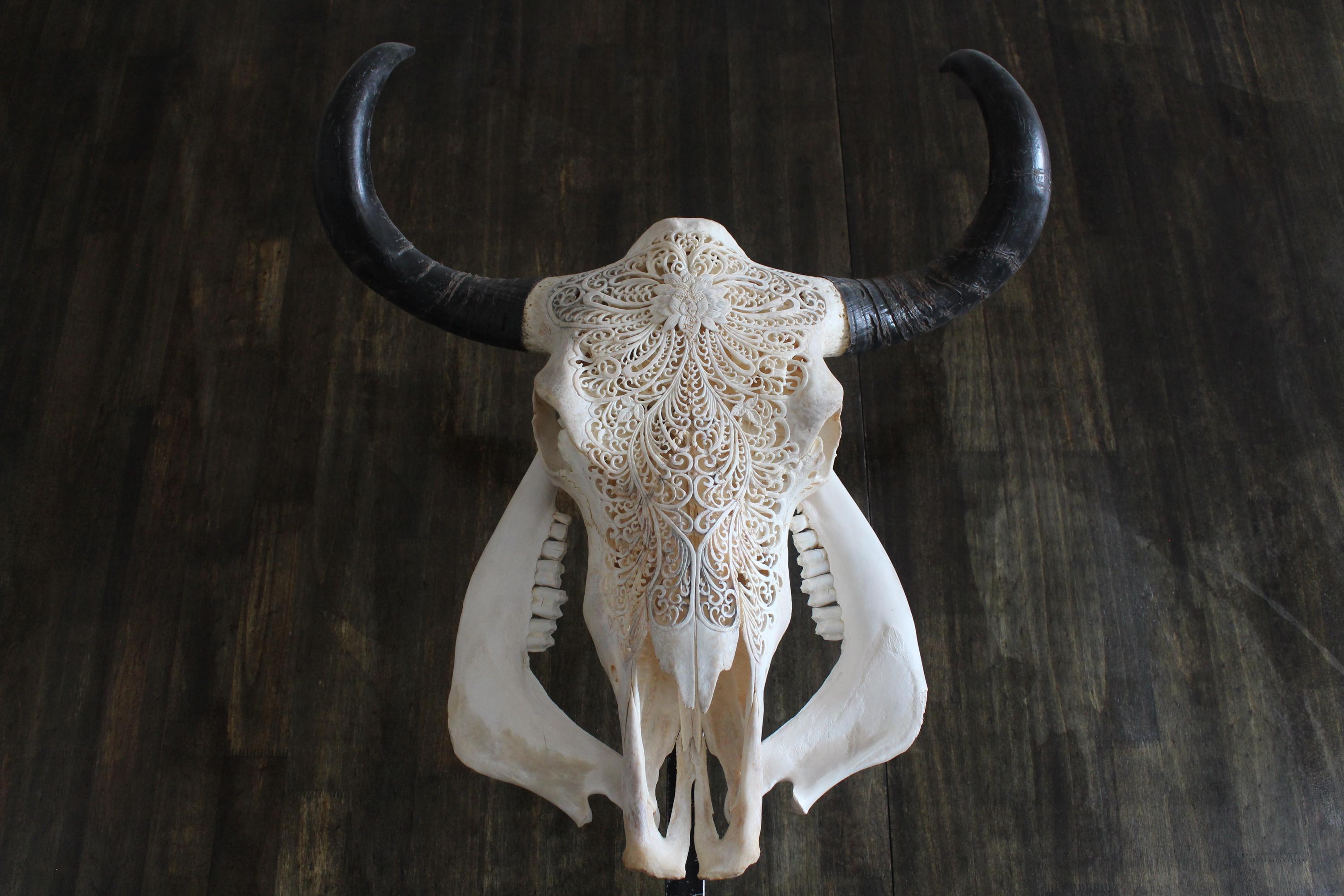 Hand Carved Bull Skull With Horns Cow Skull Perfectly Clean, Real Bone ...