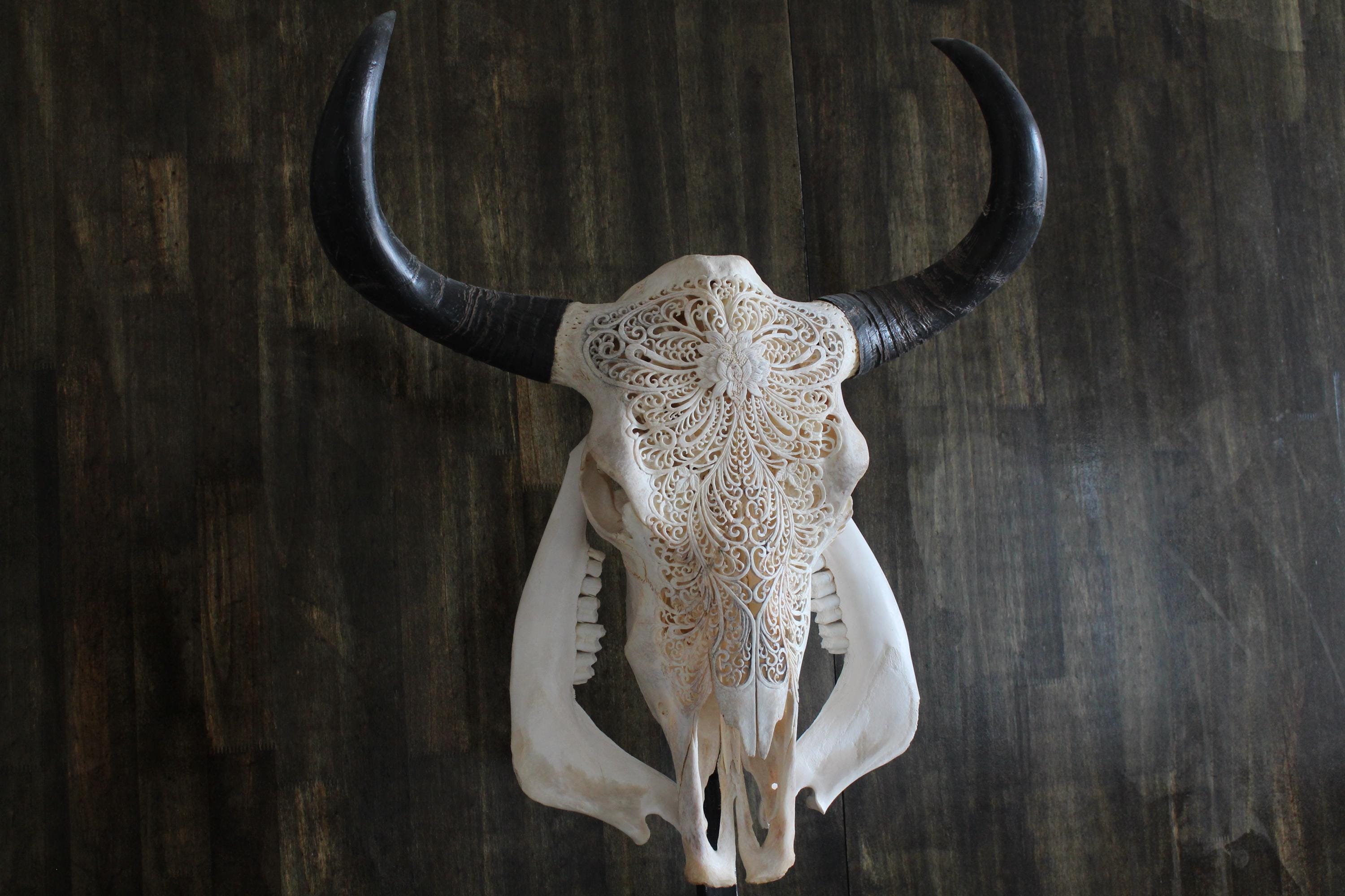 Hand Carved Bull Skull With Horns Cow Skull Perfectly Clean, Real Bone ...