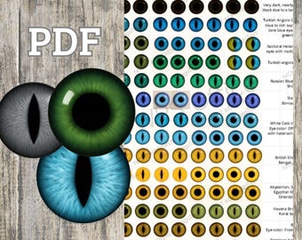 Cat Eyes Printable, Realistic Looking – Exclusive Design | From 6 to 20 ...