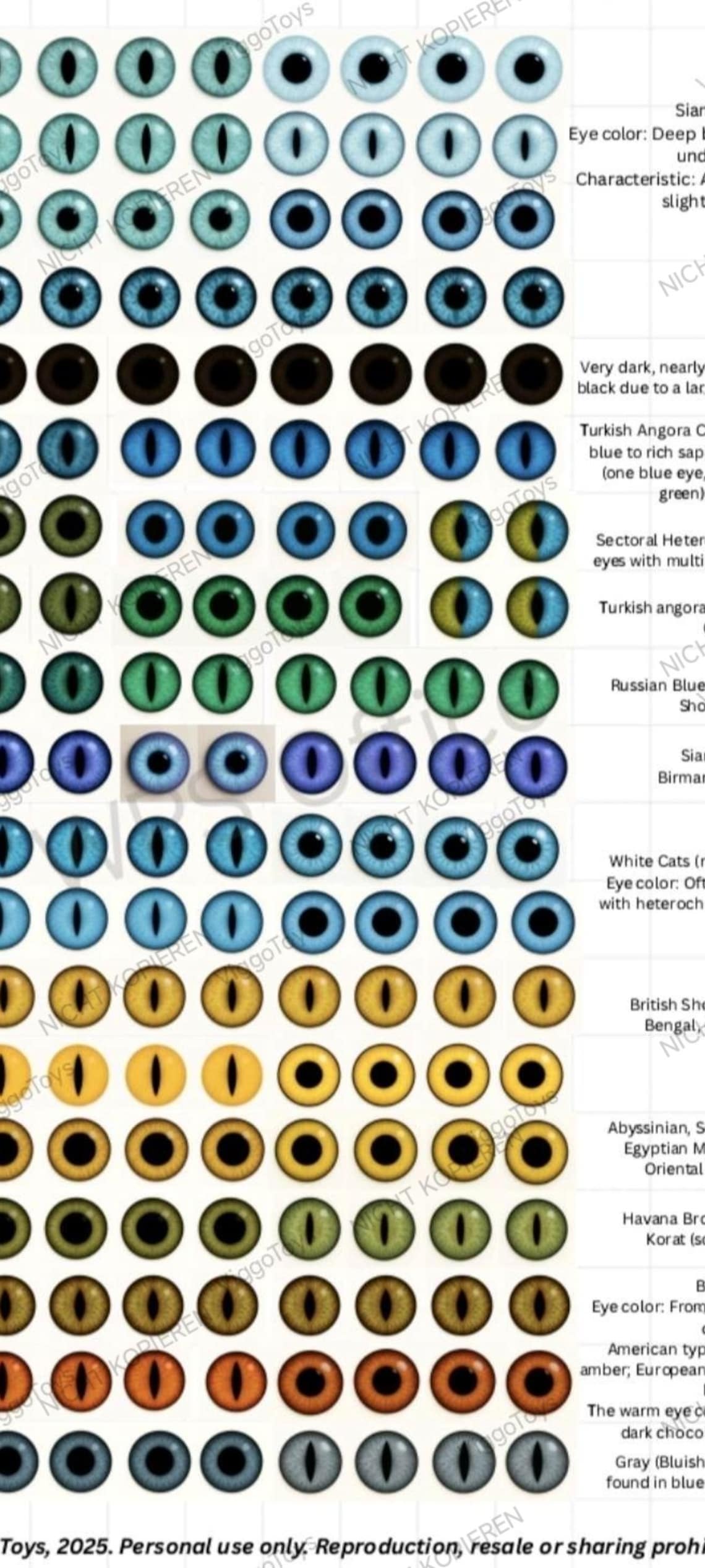 Realistic Cat Eyes Printable – Digital Sheet for Art Dolls & Crafts ...