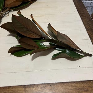 Magnolia Branches Fresh Cut to Order Home Decor Wedding Arrangements ...