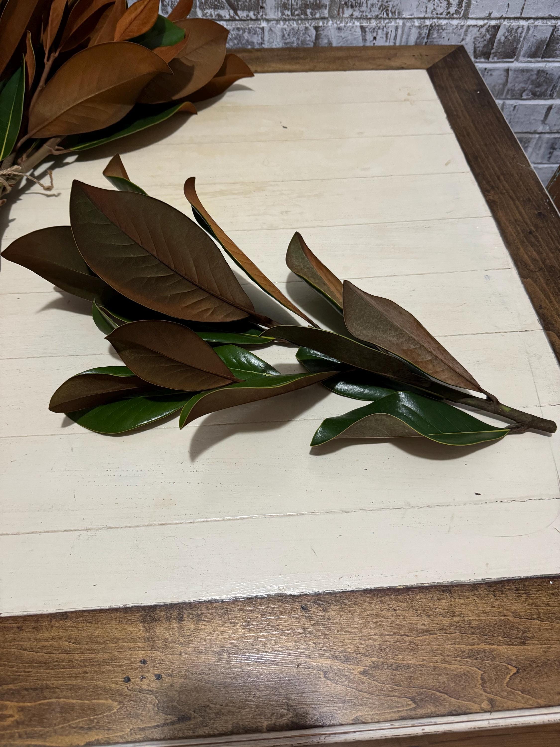 Magnolia Branches Fresh Cut to Order Home Decor Wedding Arrangements ...