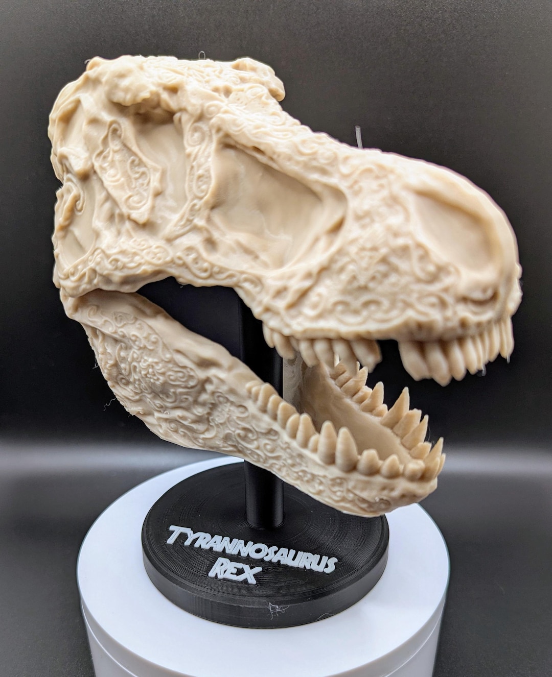 Chompy Mcbiteface – Ornate 3D Printed T-rex Skull - Etsy