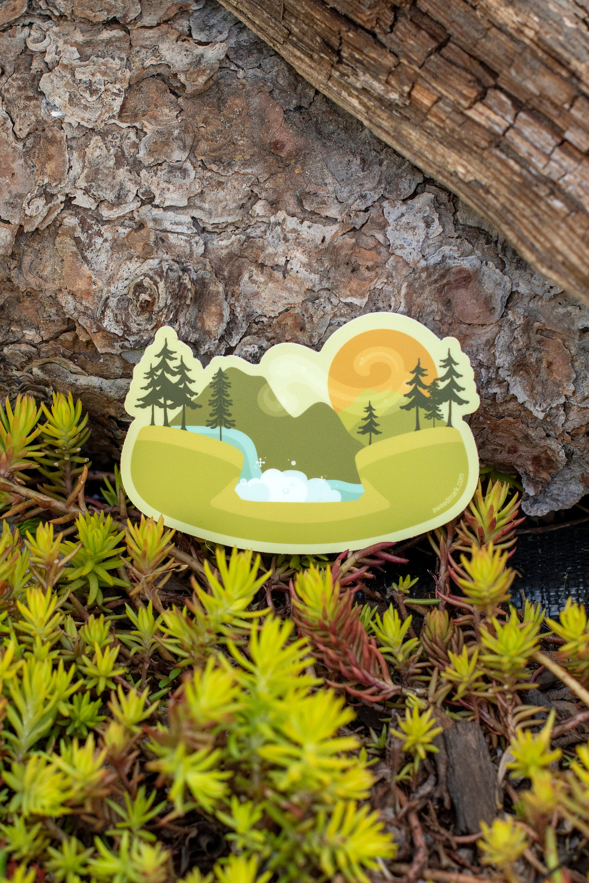 Retro Nature Sticker Wilderness Vinyl Sticker PNW Car | Etsy