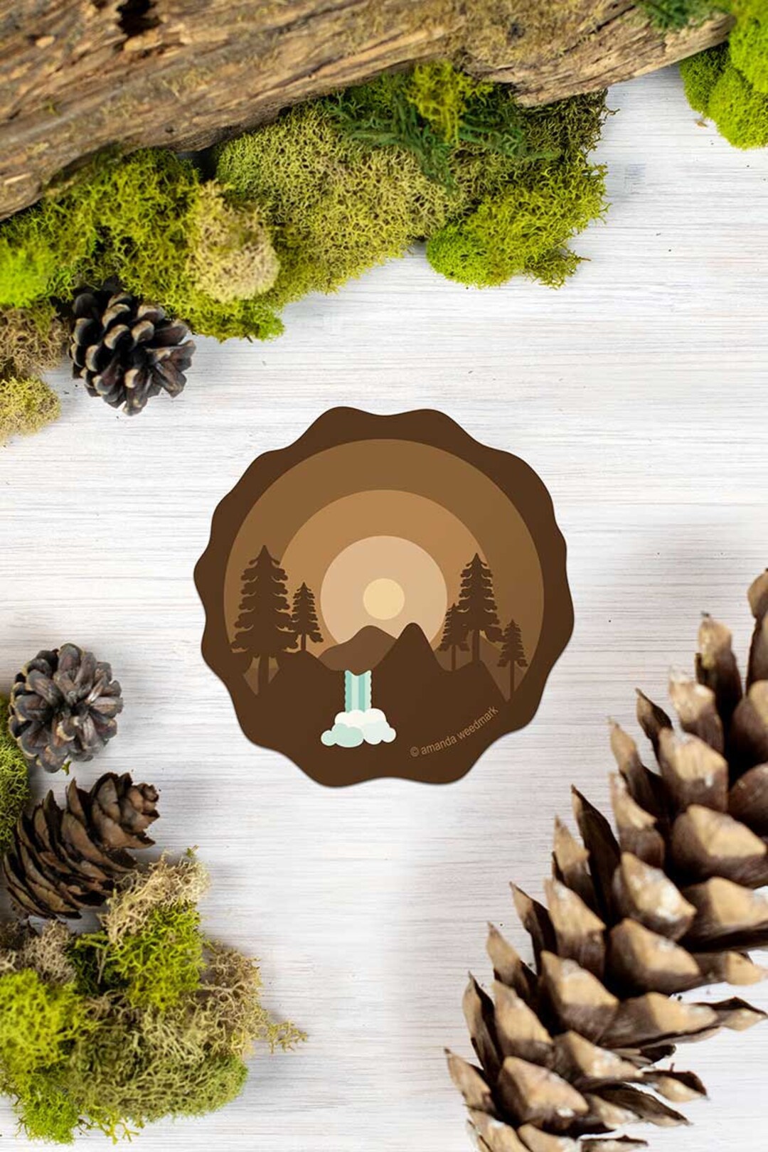 Wood Ring Sticker, Tree Lover Wood Slice Waterbottle Sticker, Pacific ...