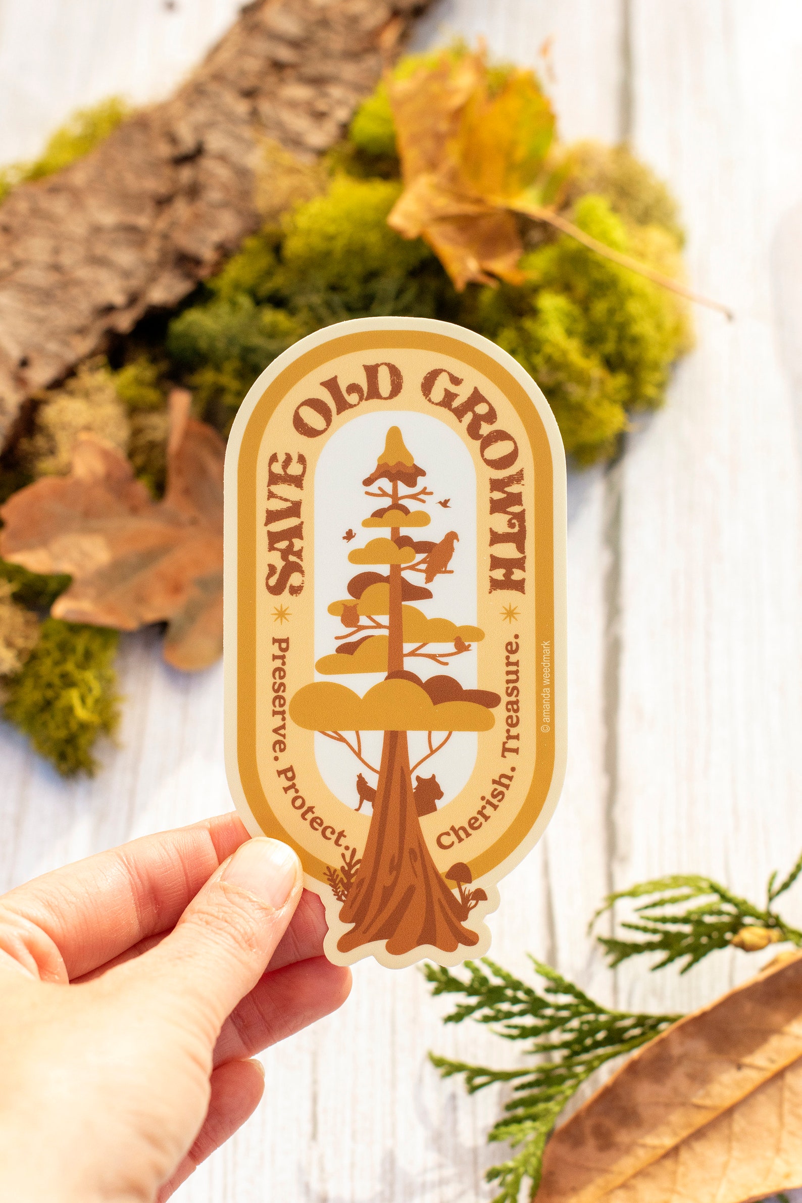 Old Tree Sticker, Arborist Gift, Save Trees Vinyl Sticker, Tree Hugger ...