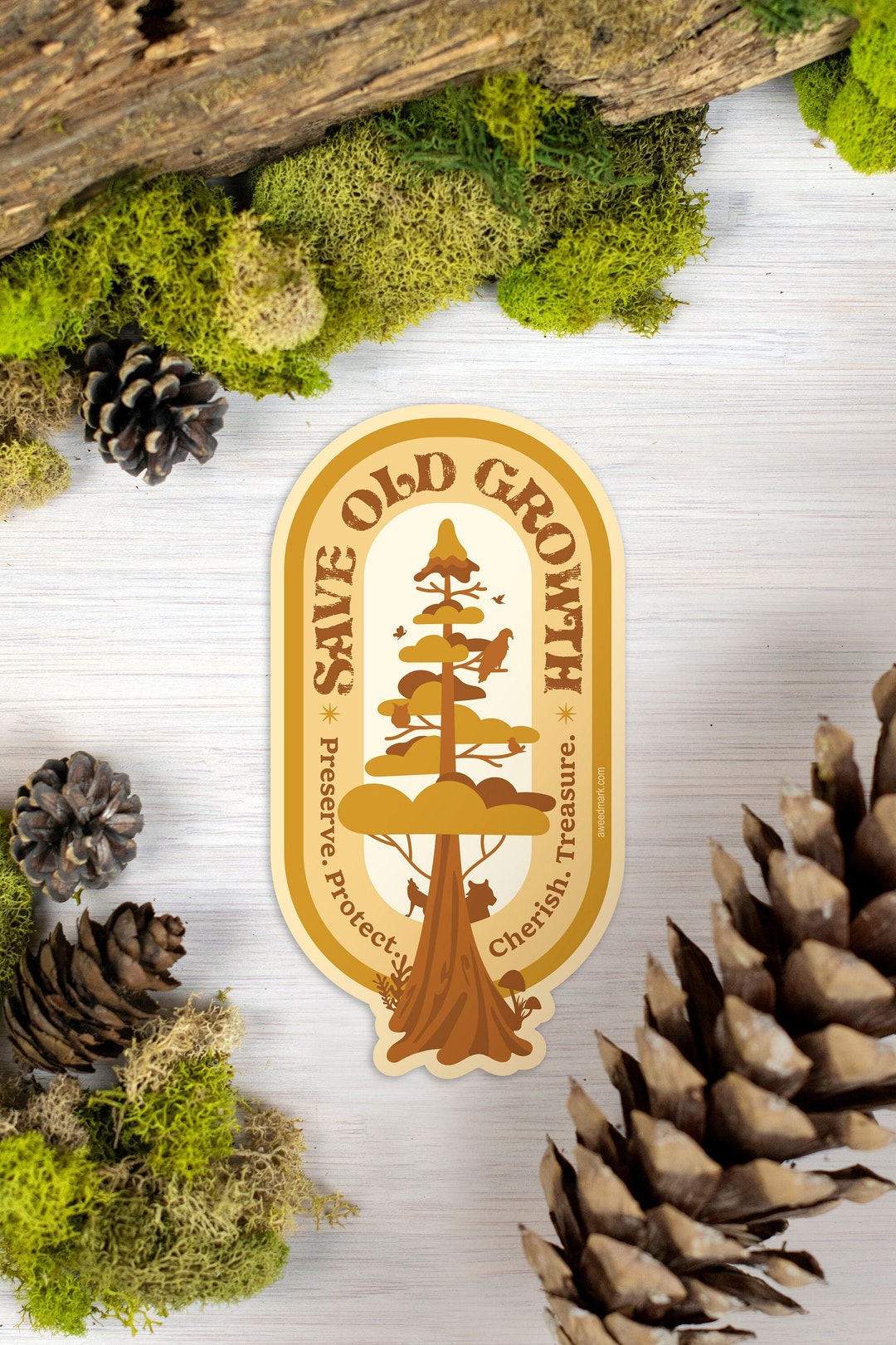 Old Tree Sticker, Arborist Gift, Save Trees Vinyl Sticker, Tree Hugger ...