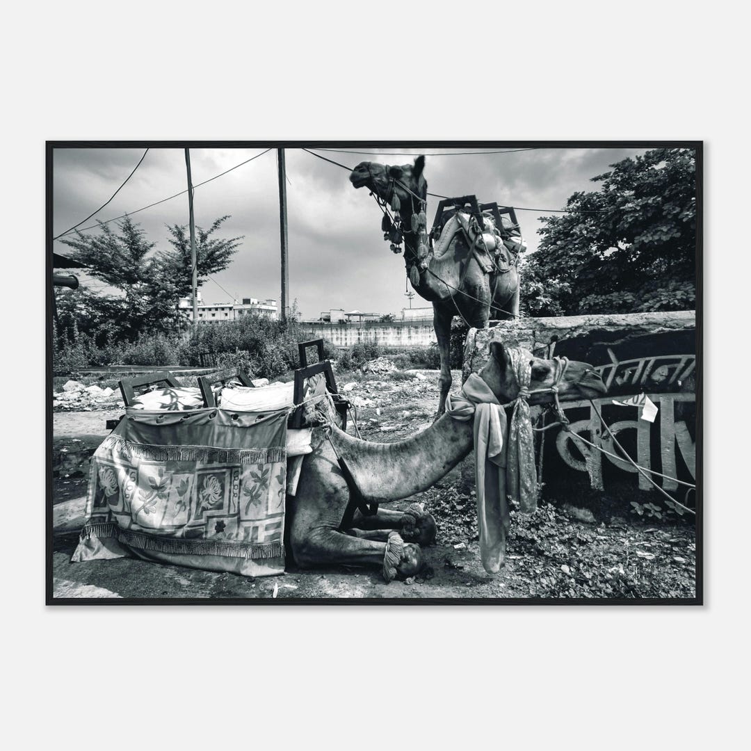 Camel Caravan Wall Art | Desert Dunes Print | Sandscape Poster ...