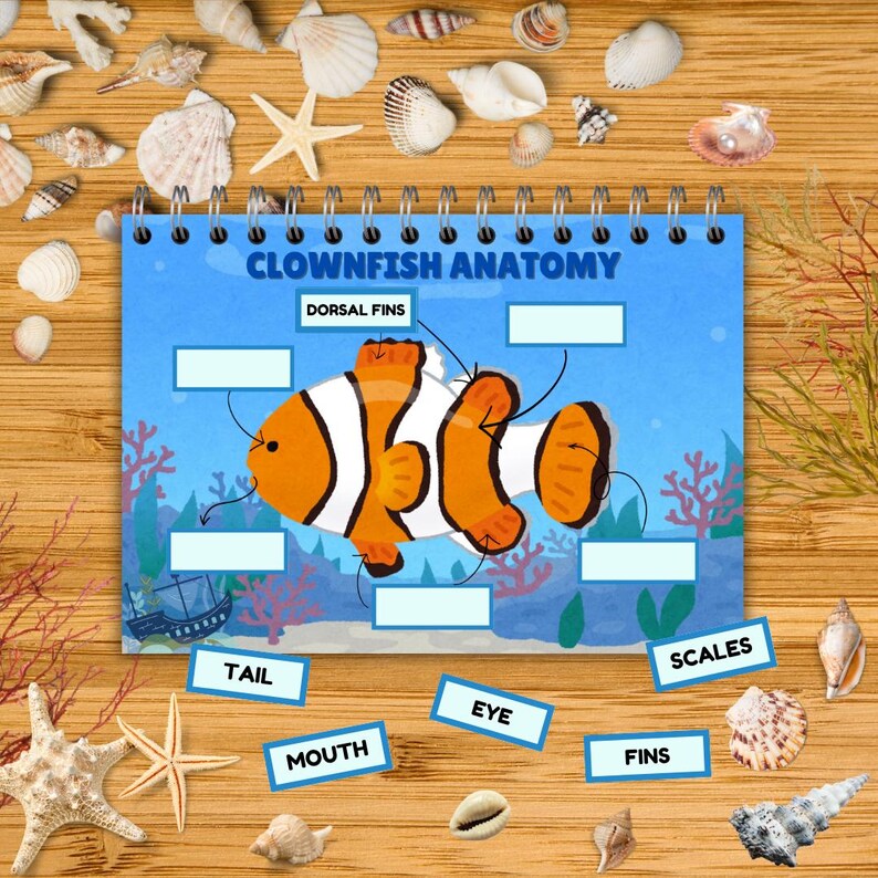 Ocean Sea Animals Busy Book for Toddlers Printable Learning Binder for ...