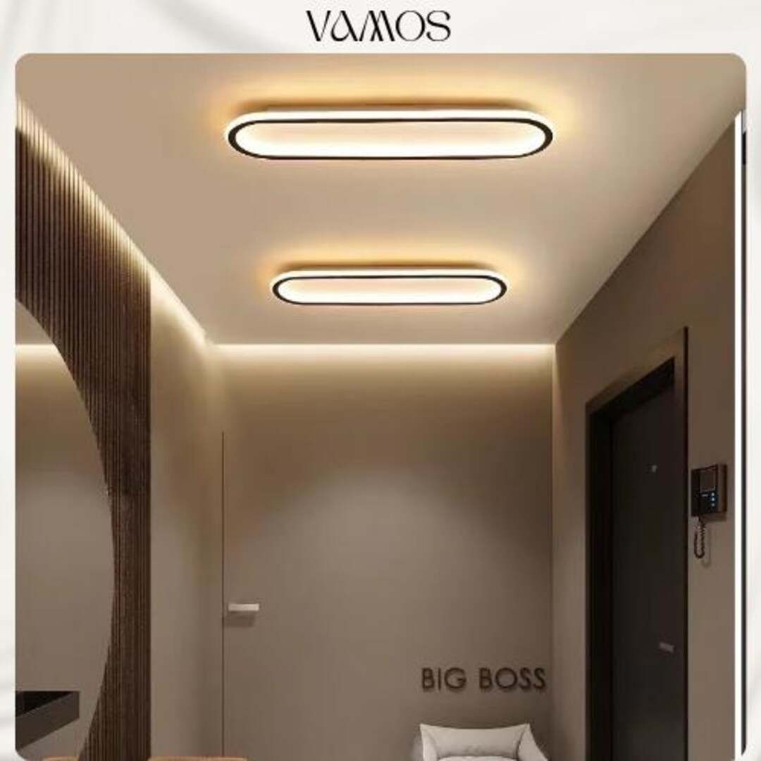 Modern Oval LED Ceiling Light for Hallway, Entryway, Living Room ...