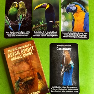 The Soul Reflection's Avian Spirit Oracle Cards by Nadine Swiger - Etsy