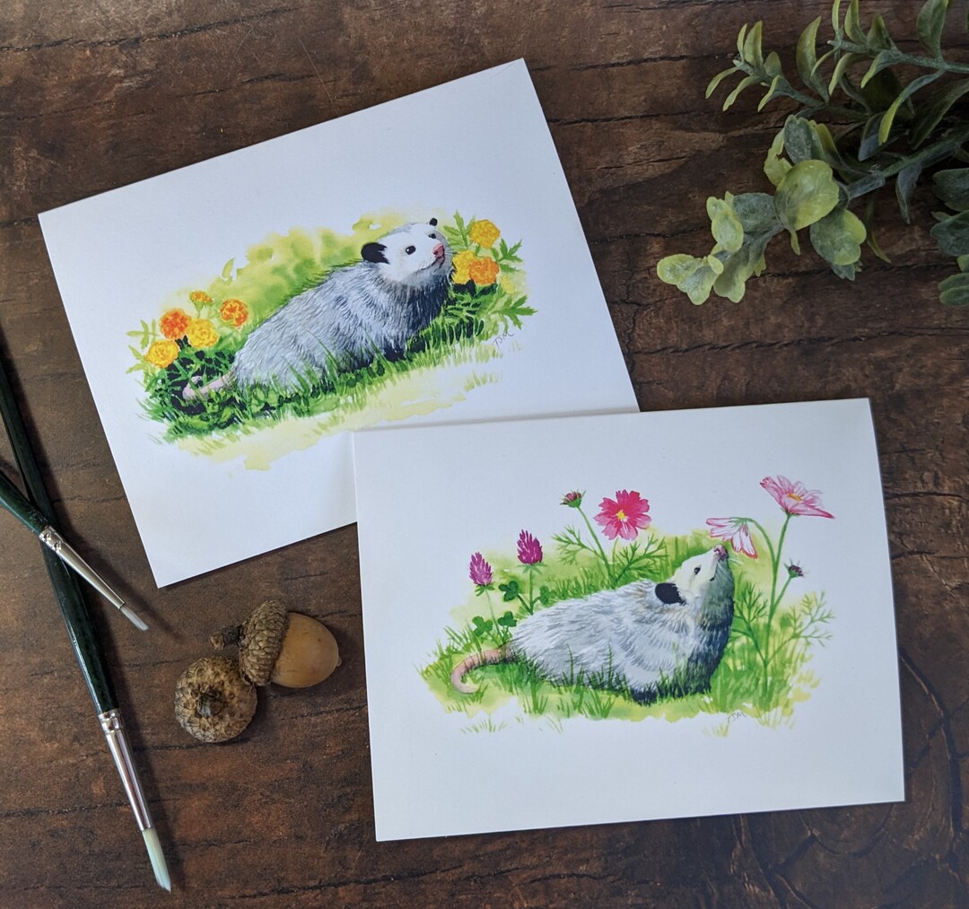Opossum Note Cards Set of 4 Possum Art Animal Rescue Artwork Wildlife ...