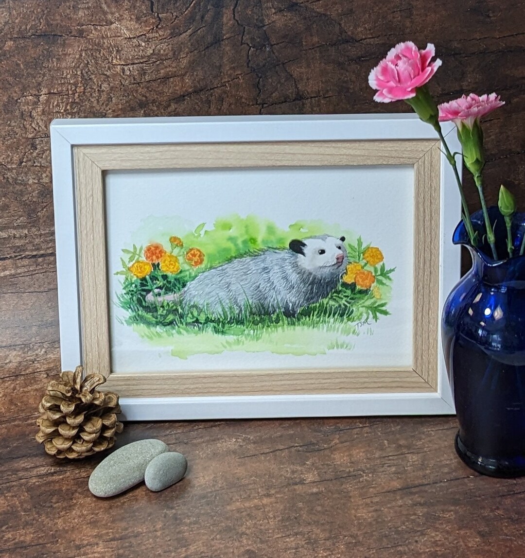 Possum Fine Art Print, Animal Rescue Art, Animal Rehabilitation Art ...