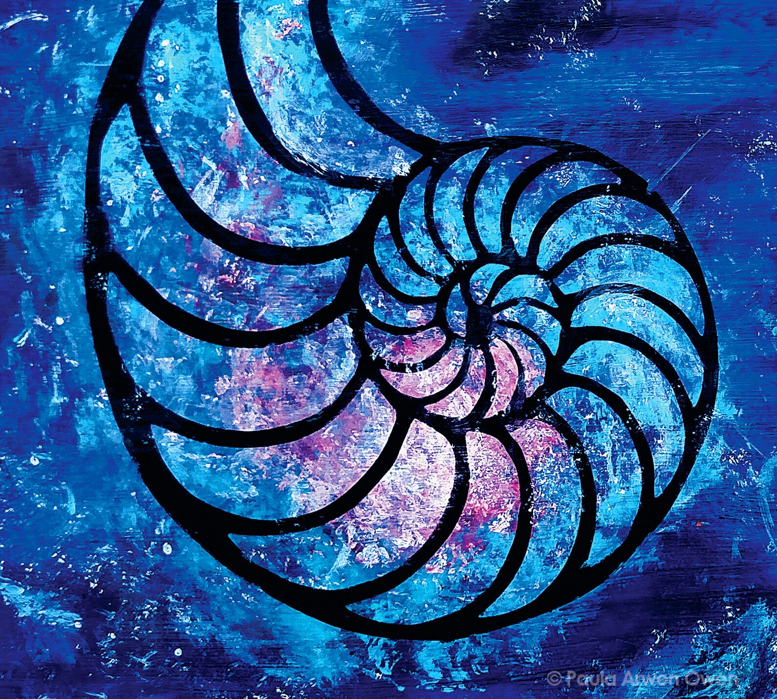 Nautilus ART PRINT, Galaxy Space Art, Sacred Geometry, Ocean Nature ...