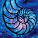 Nautilus ART PRINT Galaxy Space Art Sacred Geometry Ocean - Etsy