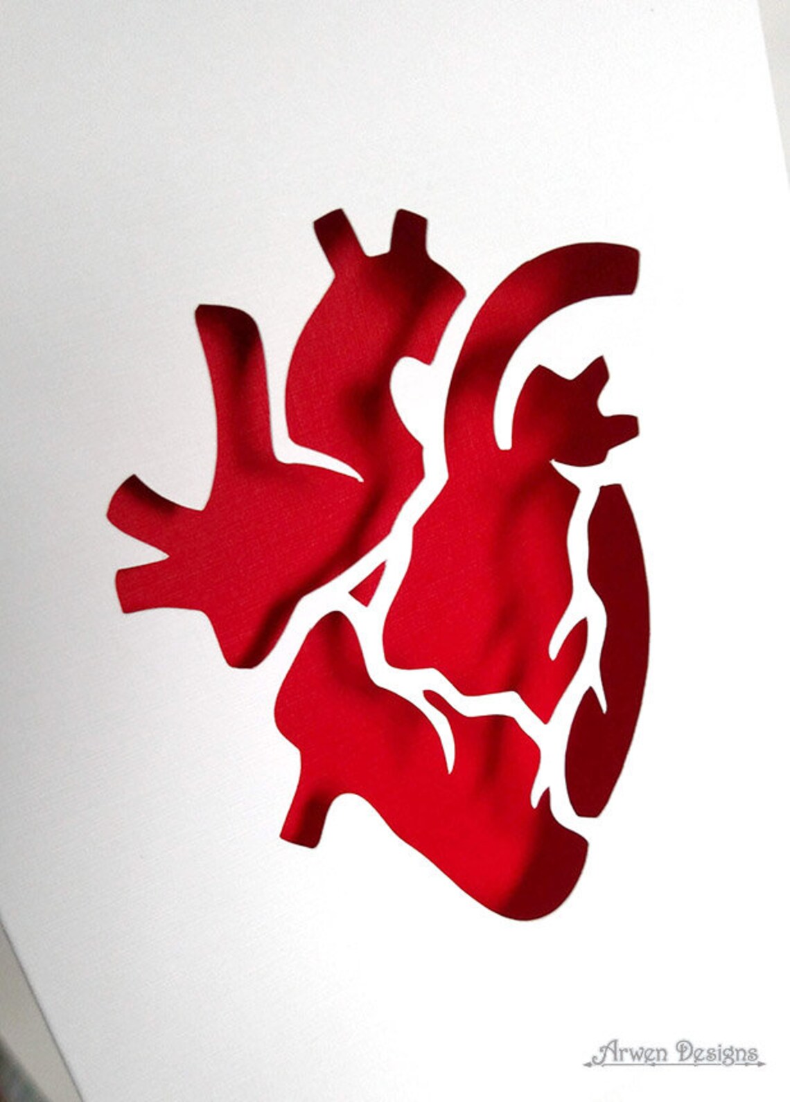 Anatomical Heart Valentine Red & White Valentine's Day | Etsy