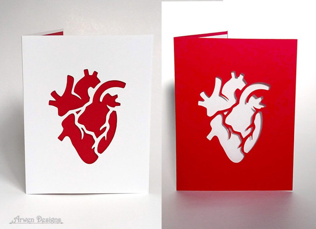 Anatomical Heart Valentine, Red & White Valentine's Day Card, Doctor ...