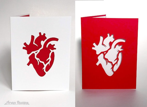 Anatomical Heart Valentine Red & White Valentine's Day | Etsy