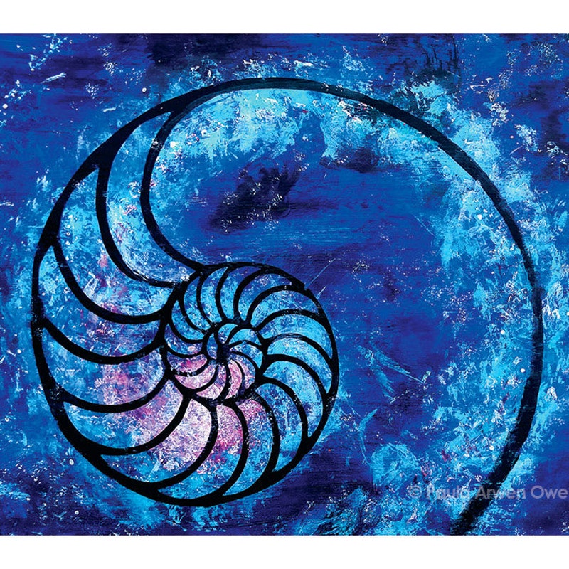 Nautilus Art - Etsy