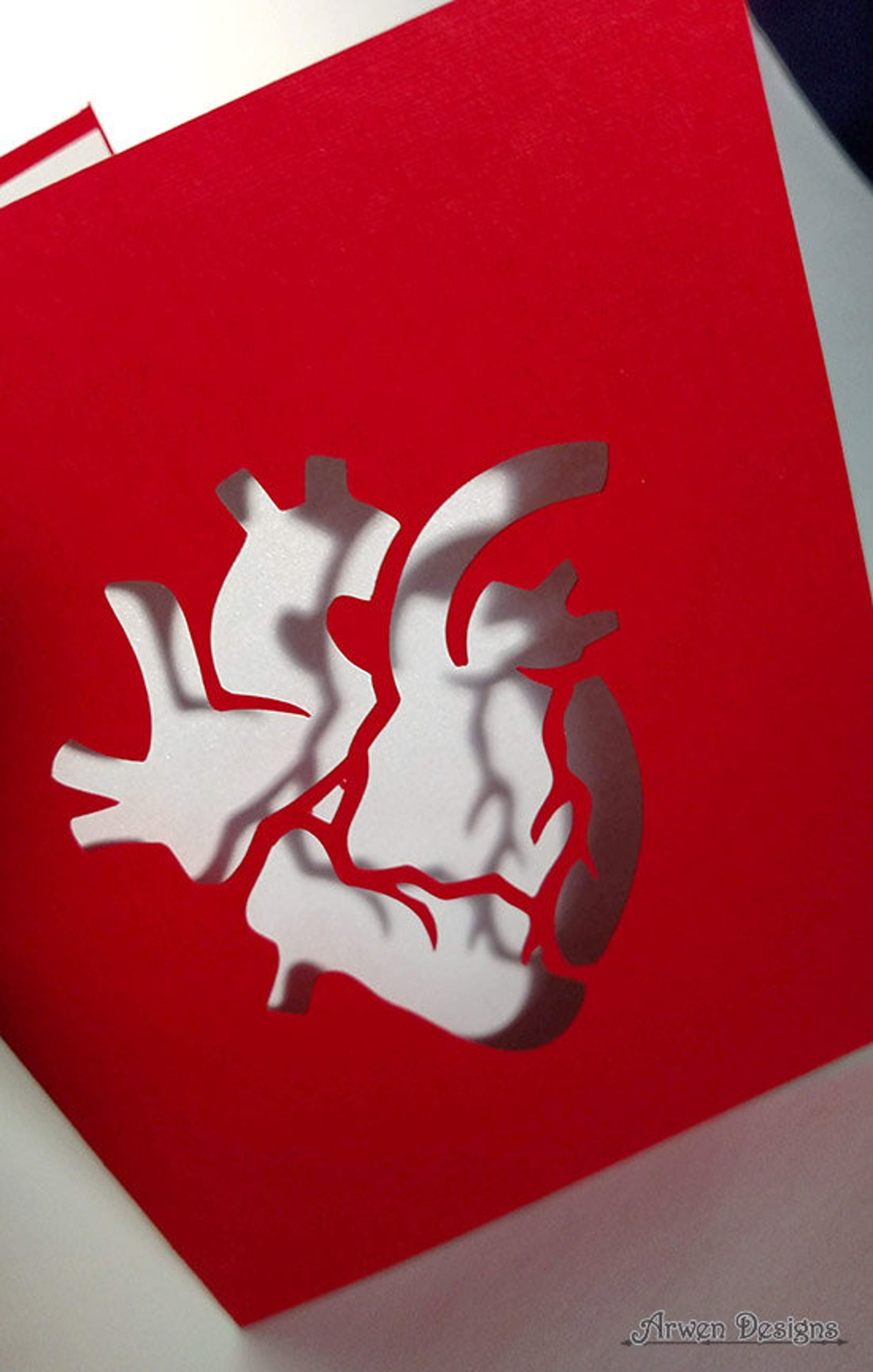 Anatomical Heart Valentine Red & White Valentine's Day | Etsy