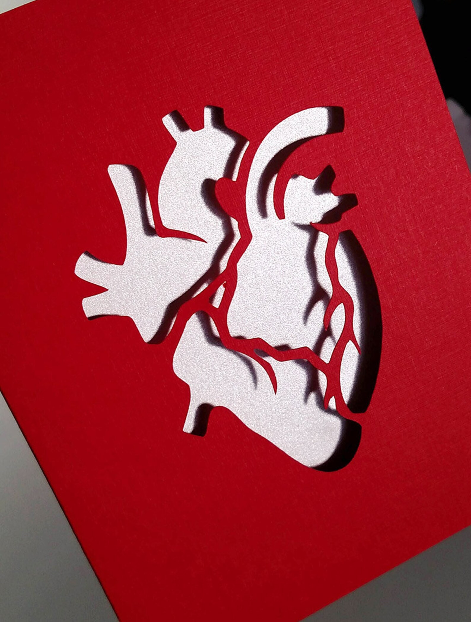 Anatomical Heart Valentine Red & White Valentine's Day | Etsy