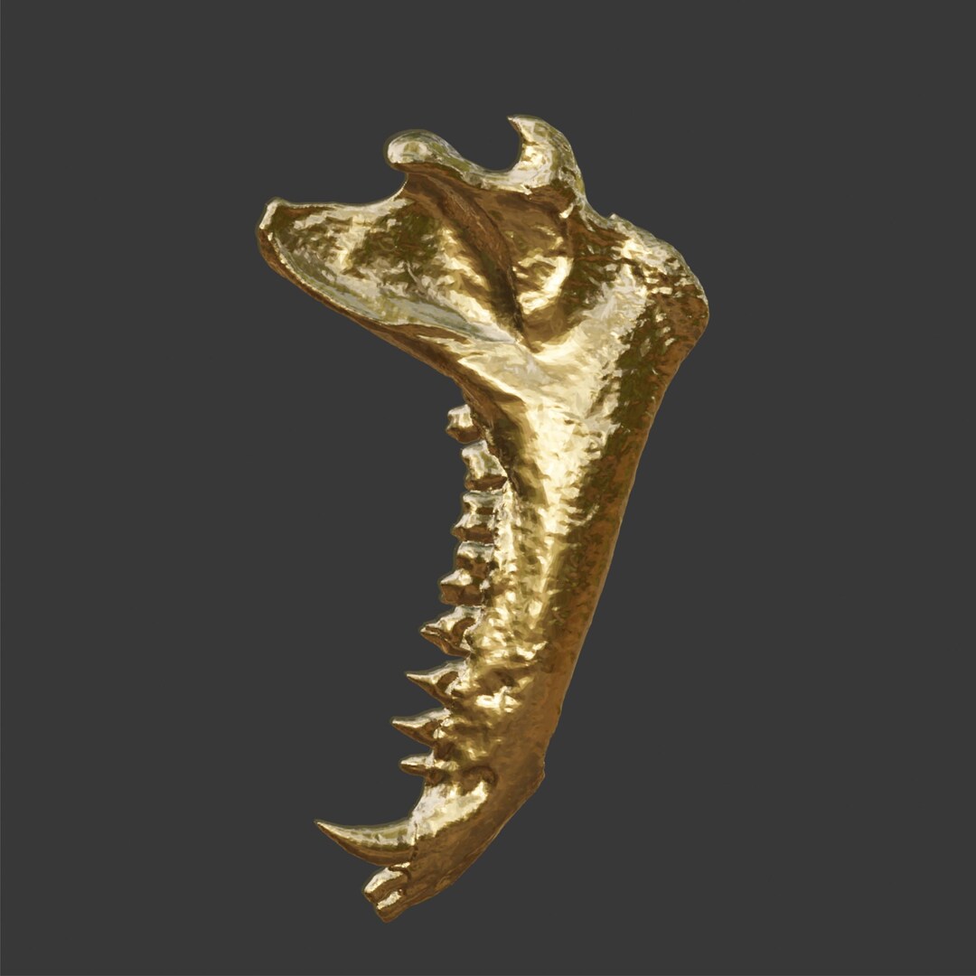 Fox Jaw Example Listing - Etsy