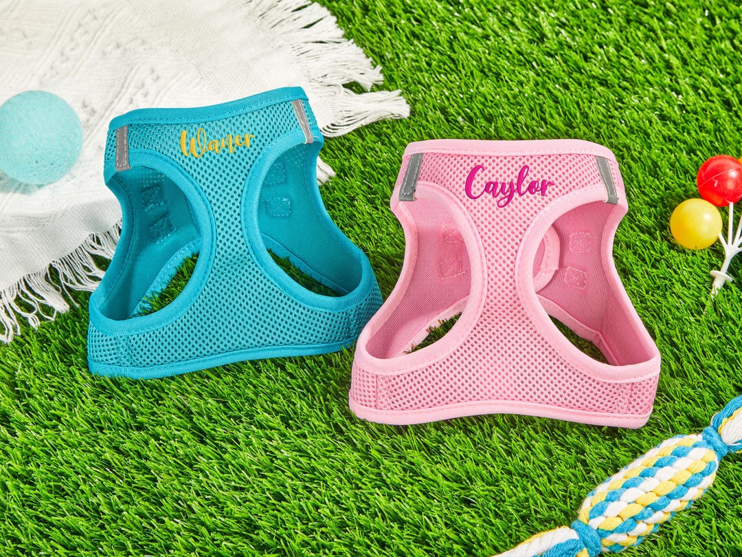 Dog Harness Personalized Embroidered Dog Harness Small Dog Chest ...