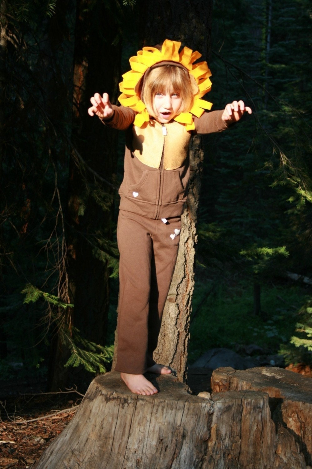 Lion Costume Pattern: Easy DIY Felt Sweat Suit (PDF) - Etsy