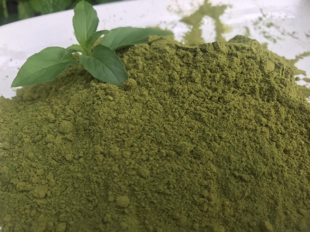 Wolffia Globosa Powder | High-protein Superfood | Green Caviar | Thai ...