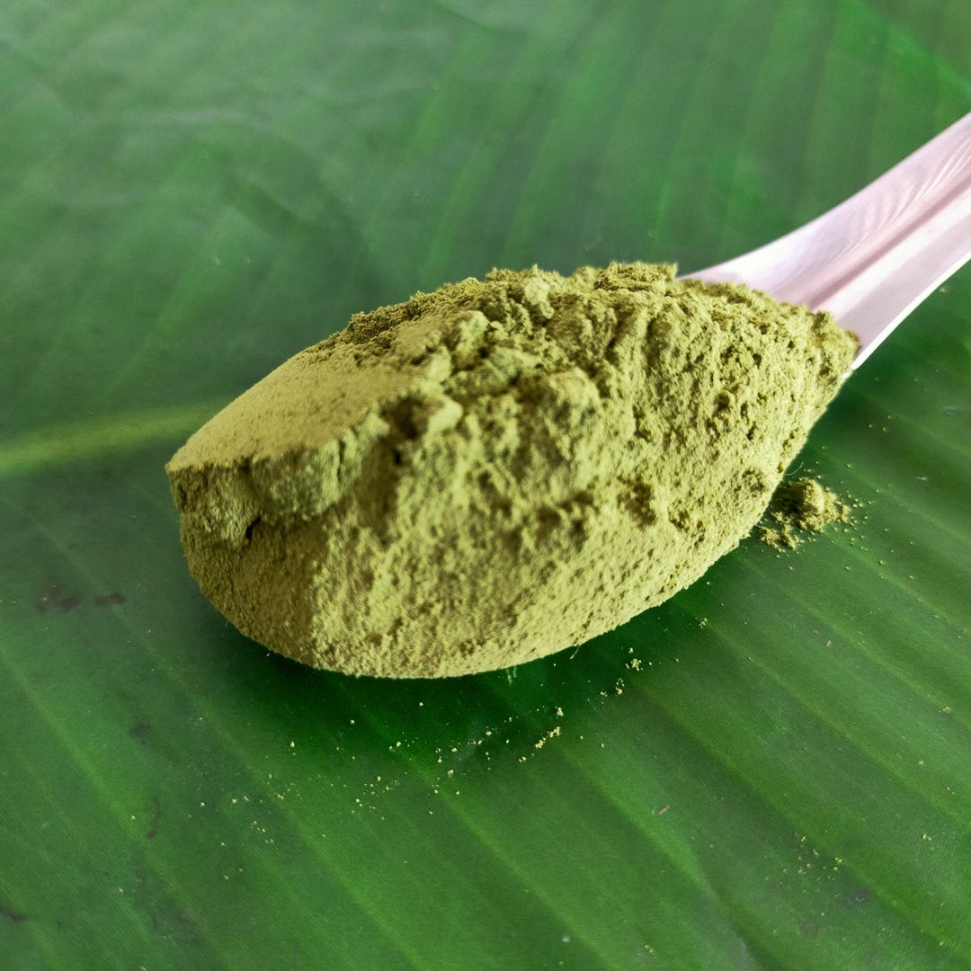 Wolffia Globosa Powder: High-protein Green Caviar Superfood - Etsy