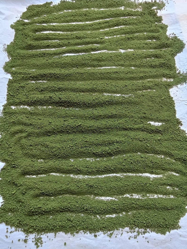 Wolffia Globosa Powder: High-protein Green Caviar Superfood - Etsy