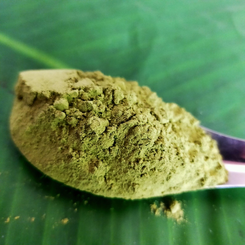 Wolffia Globosa Powder: High-protein Green Caviar Superfood - Etsy