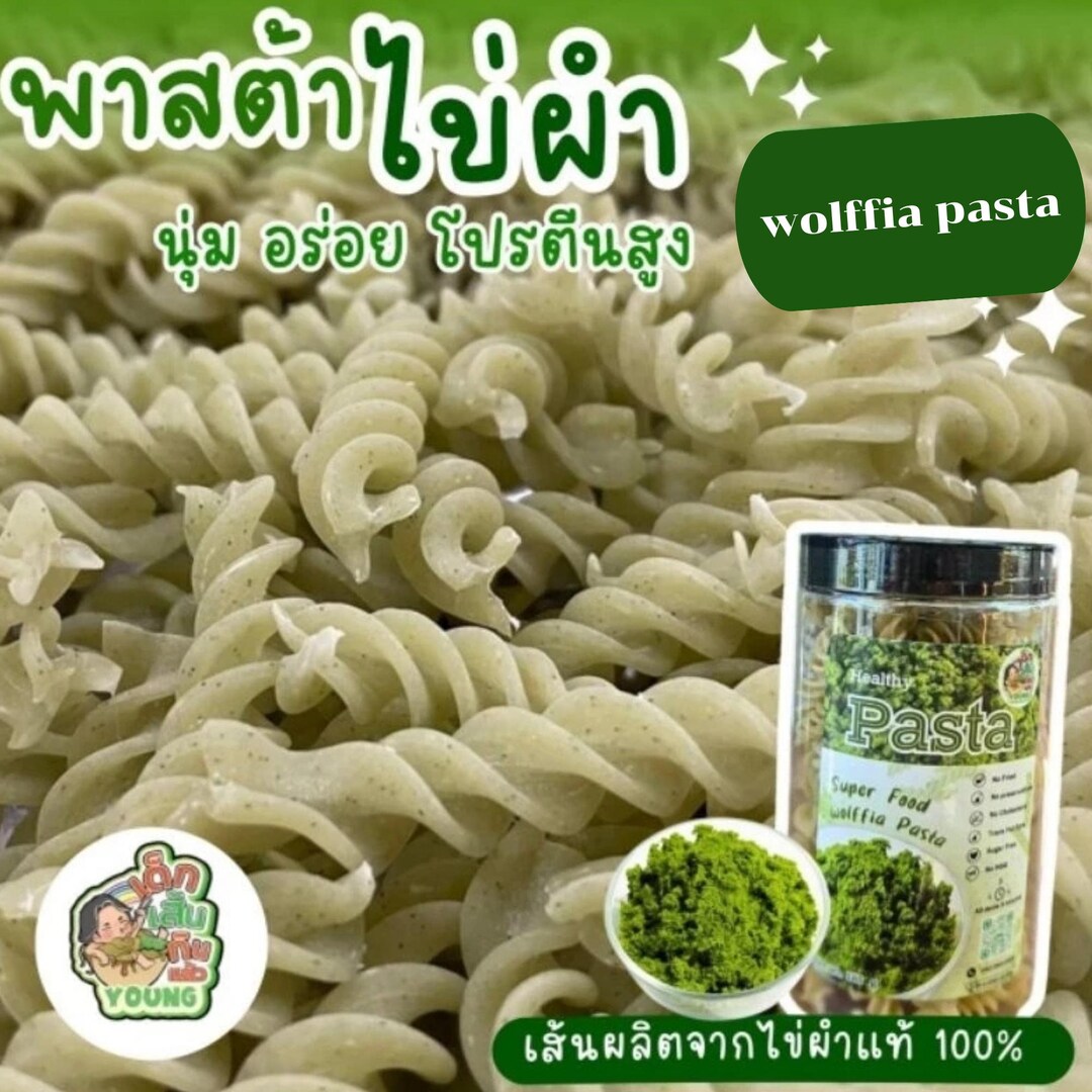 Wolffia Pasta – High-protein Plant-based Noodles, Thai Superfood ...