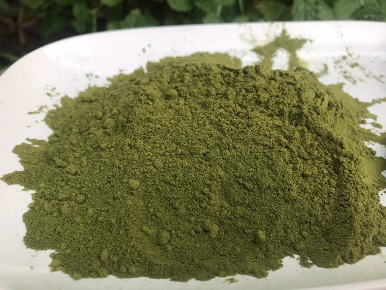 Wolffia Globosa Powder | High-protein Superfood | Green Caviar | Thai ...
