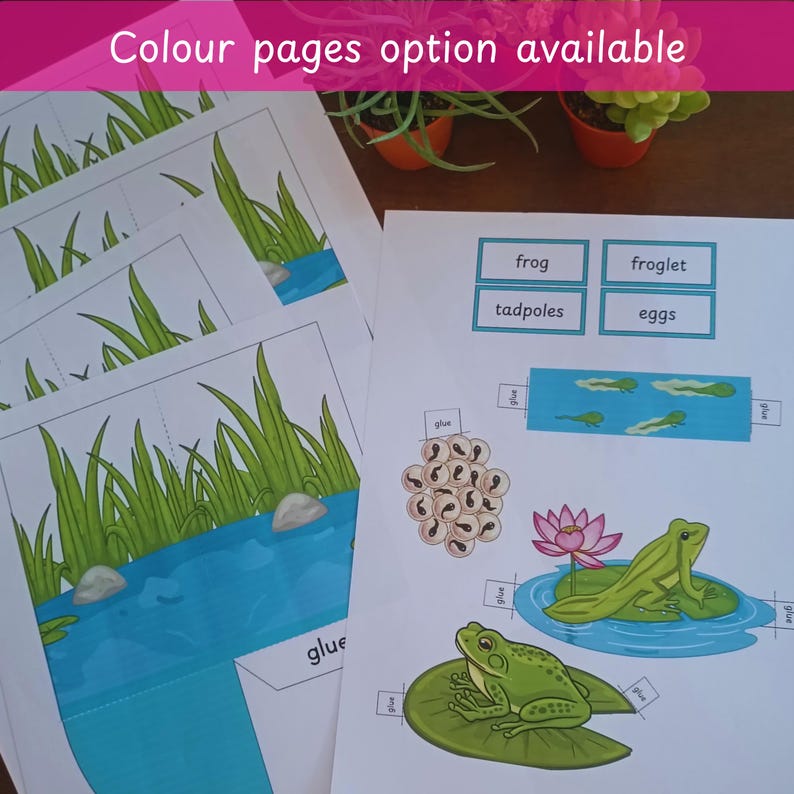 3D Frog Life Cycle Craft Printable, Frog Worksheet PDF, Spring Science ...