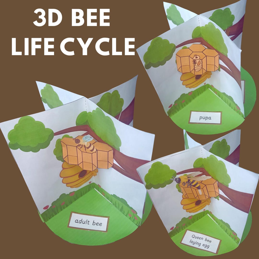 3D Bee Life Cycle Craft Printable, Bee Worksheet PDF, Spring Science ...