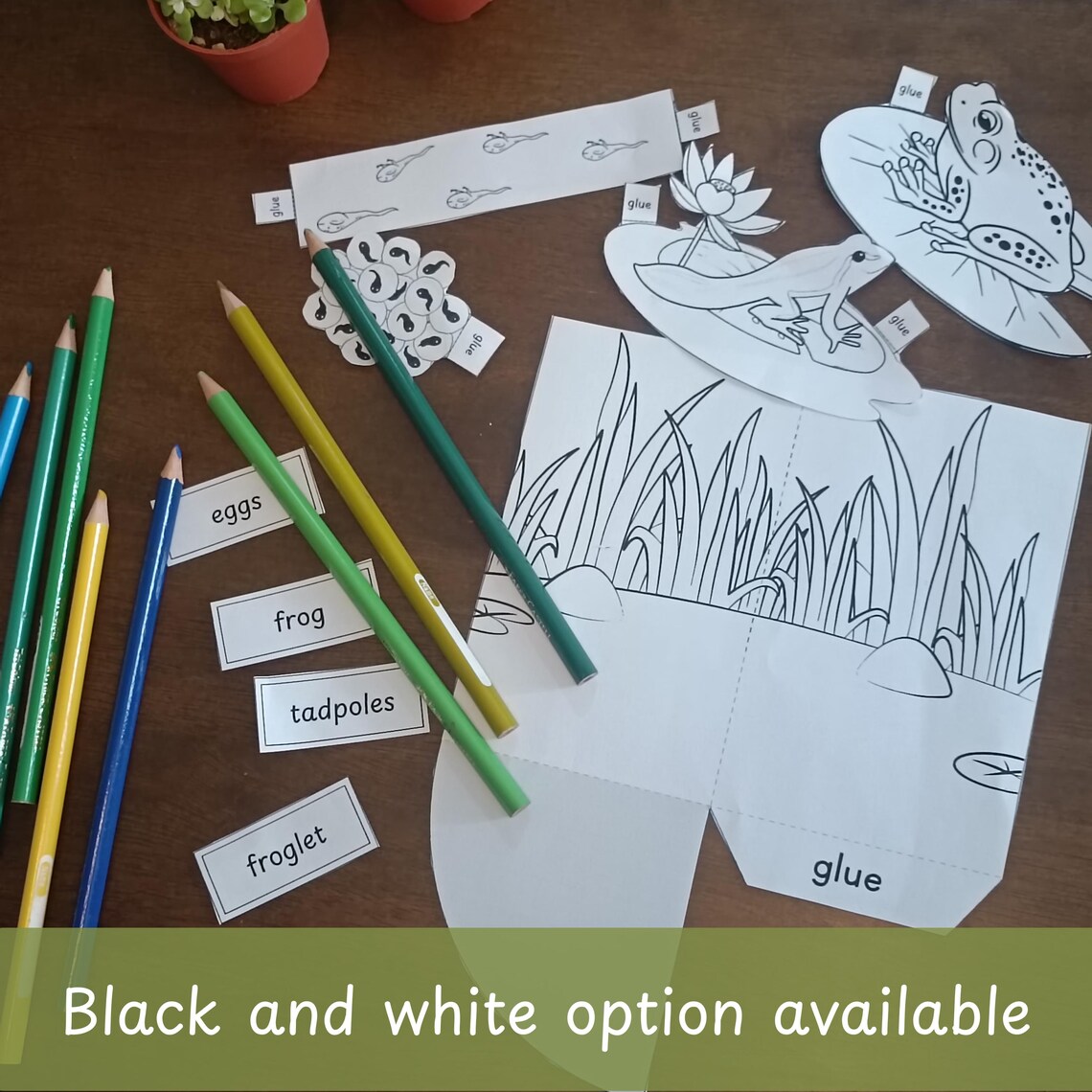3D Frog Life Cycle Craft Printable, Frog Worksheet PDF, Spring Science ...