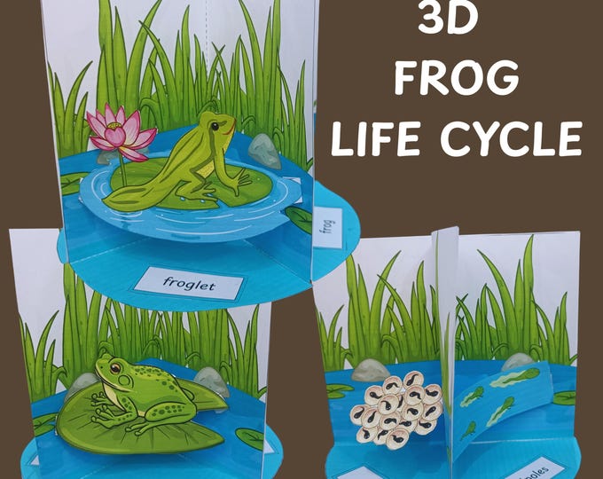3D Frog Life Cycle Craft Printable, Frog Worksheet PDF, Spring Science ...