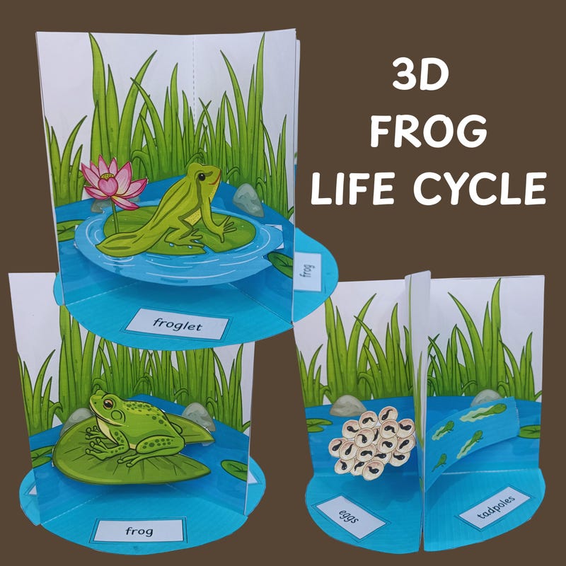 Frog Life Cycle - Etsy