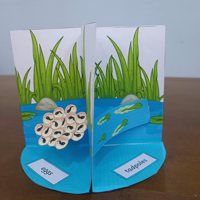 3D Frog Life Cycle Craft Printable, Frog Worksheet PDF, Spring Science ...