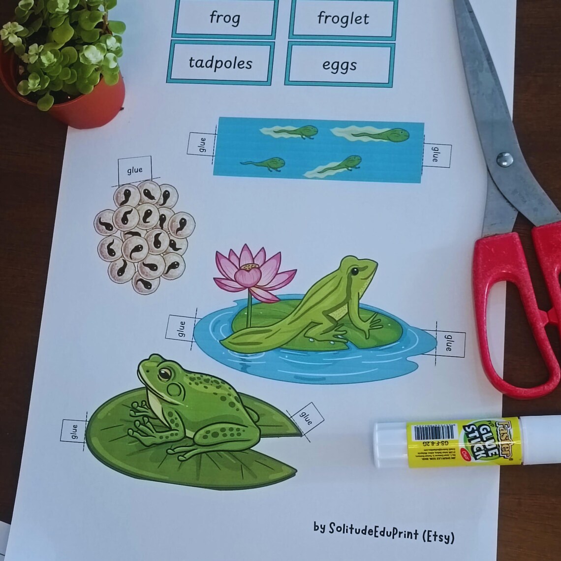 3D Frog Life Cycle Craft Printable, Frog Worksheet PDF, Spring Science ...
