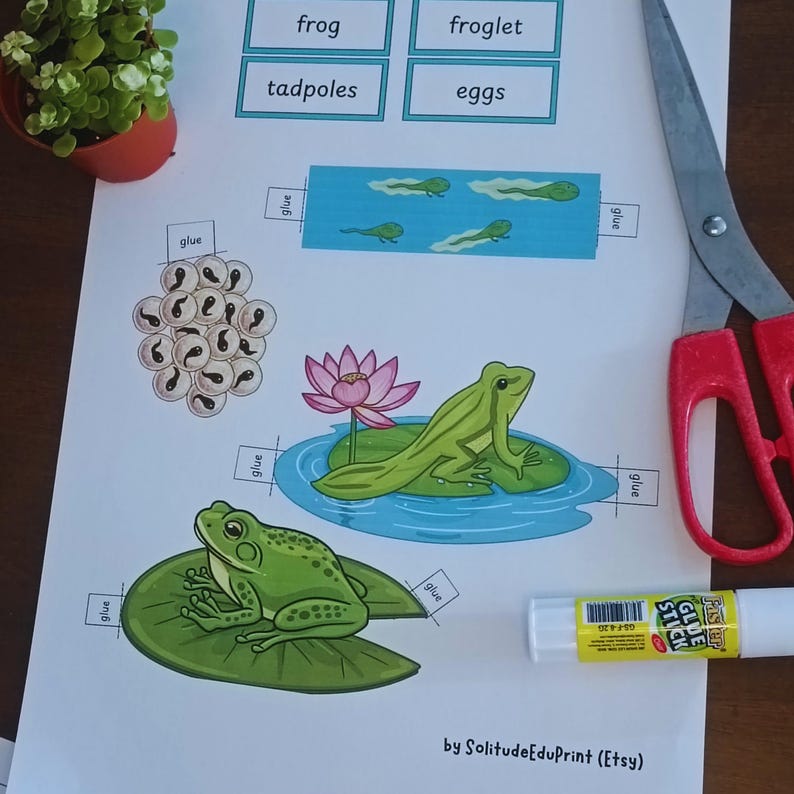 3D Frog Life Cycle Craft Printable, Frog Worksheet PDF, Spring Science ...