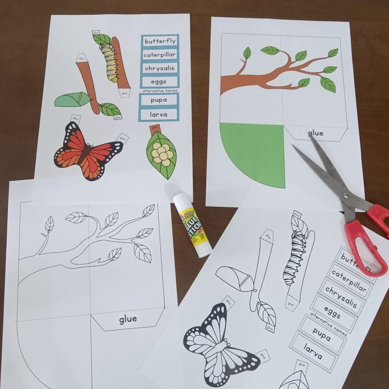 Lifecycle of Butterfly Paper Science Craft for Kids | 3D | Printable ...