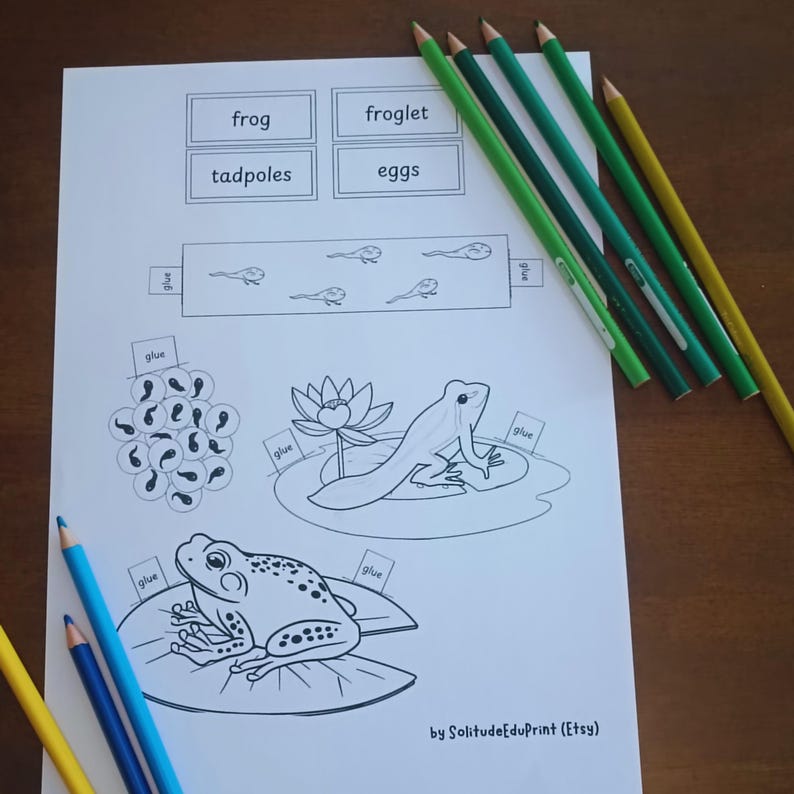 3D Frog Life Cycle Craft Printable, Frog Worksheet PDF, Spring Science ...