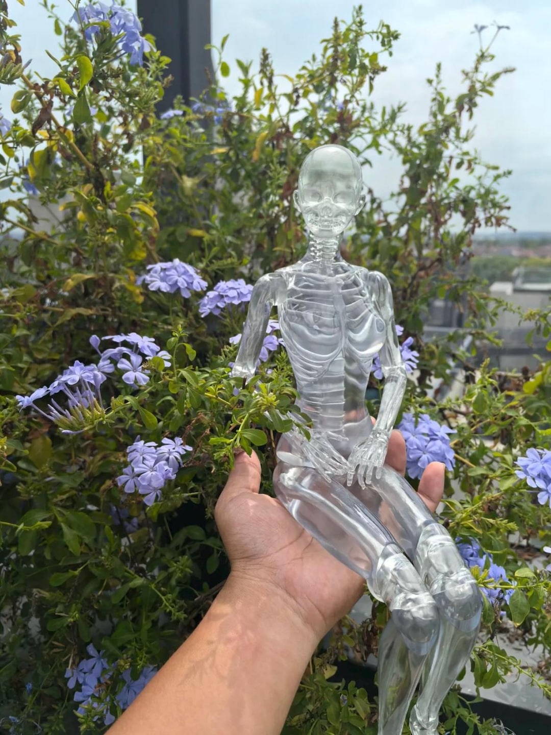 Transparent Skeleton 1/4 BJD Doll｜gothic Full Set Poseable Anatomy ...