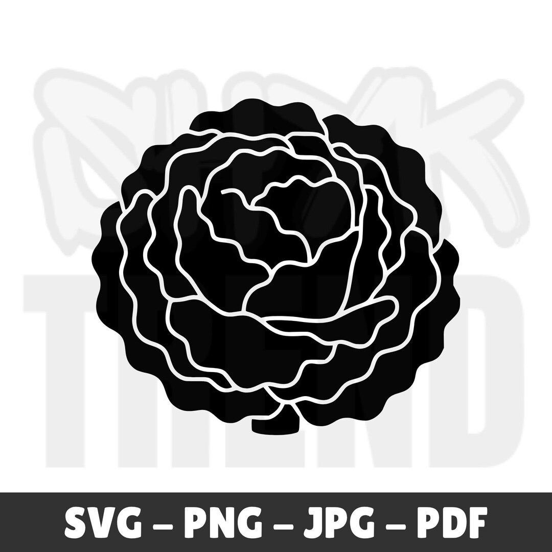 Cabbage Outline SVG | Minimalist Vegetable Cut File (digital Download ...