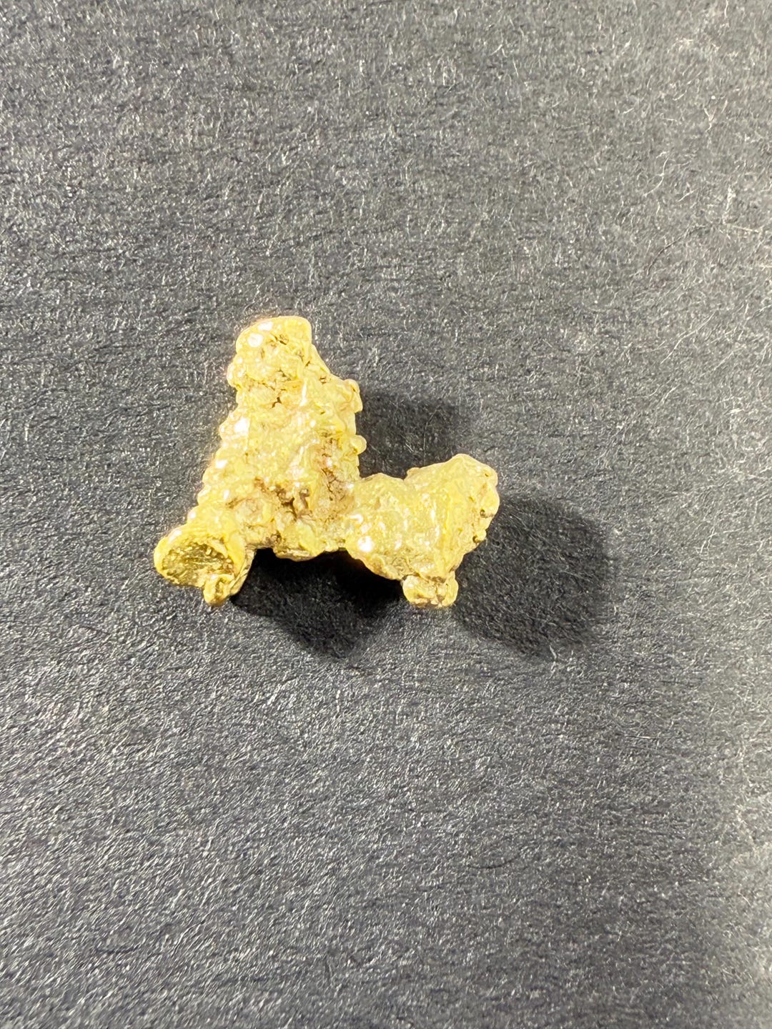 ALASKAN GOLD NUGGET| Natural Gold Nugget| Authentic Alaska Natural Gold ...