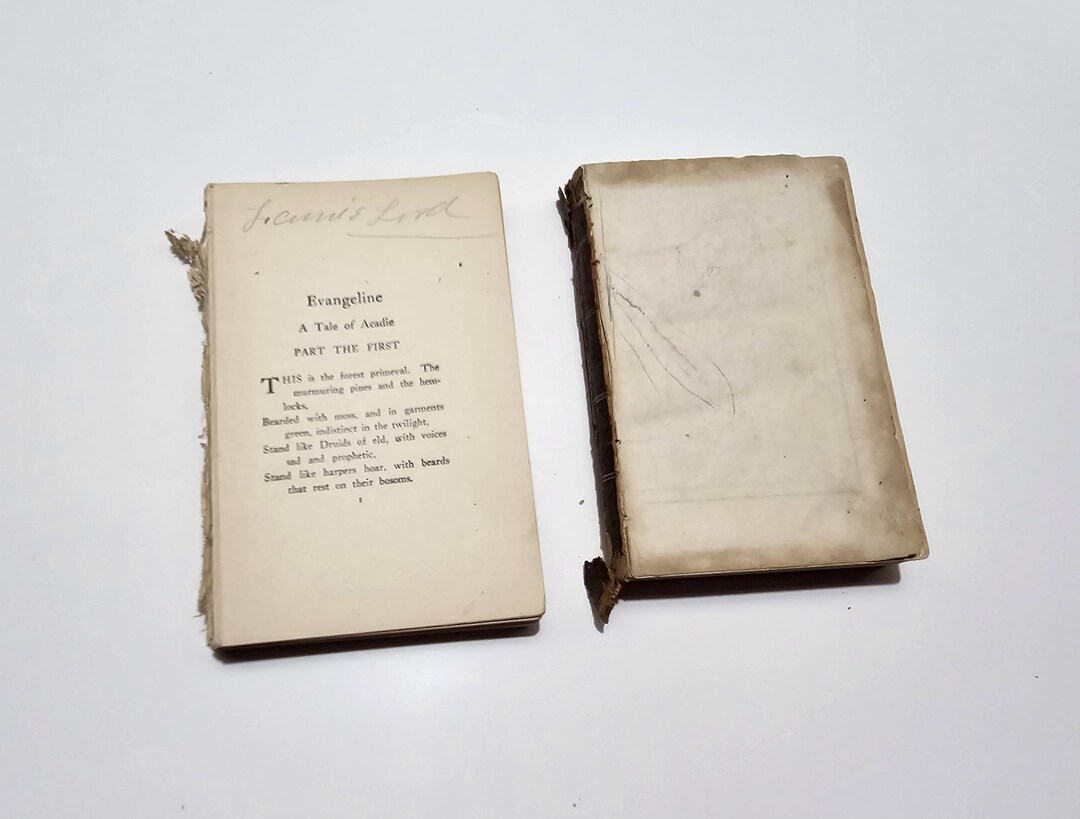 1800s ONE Small Book Block/book Pages/text Pages - Etsy
