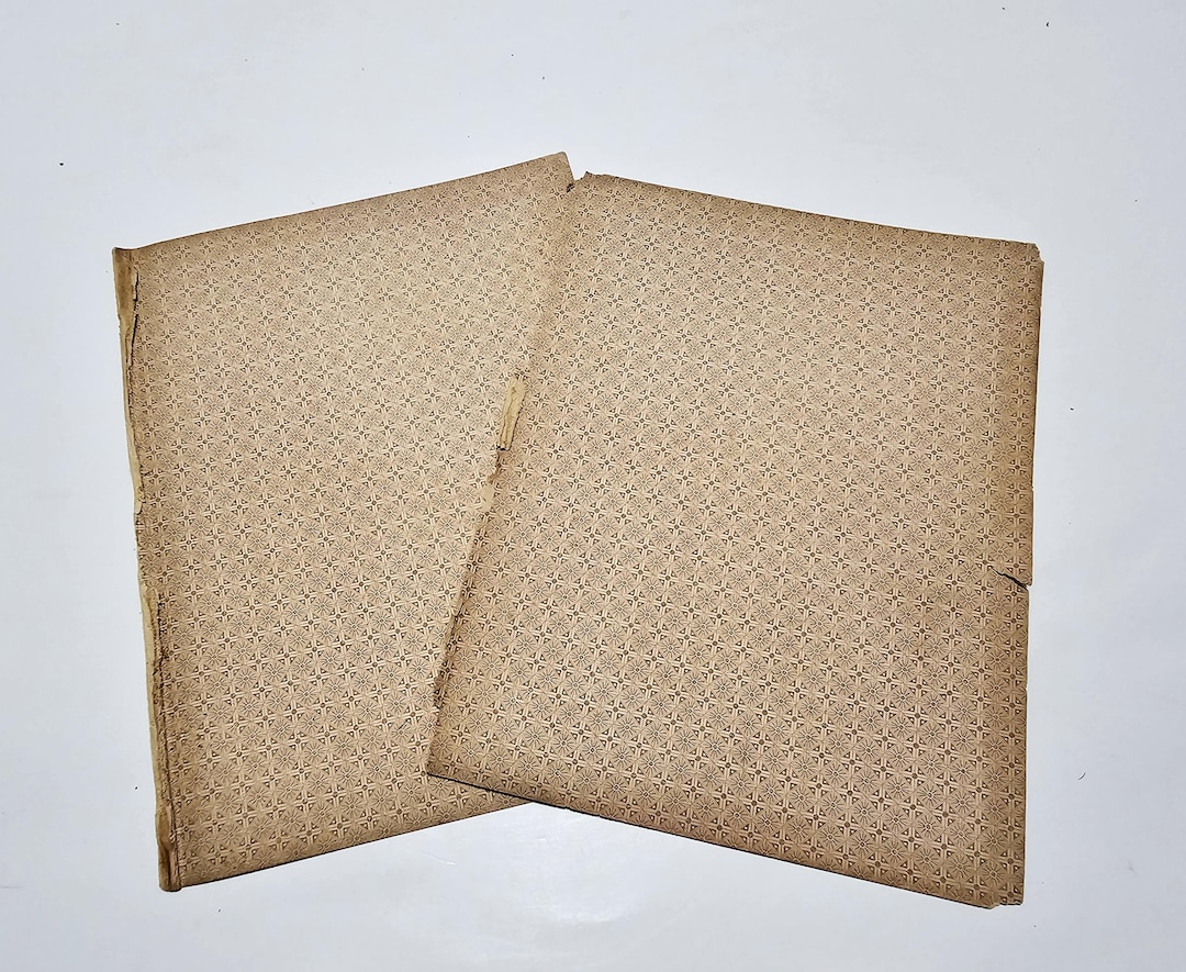 1800s Antique Decorative End Papers - Etsy